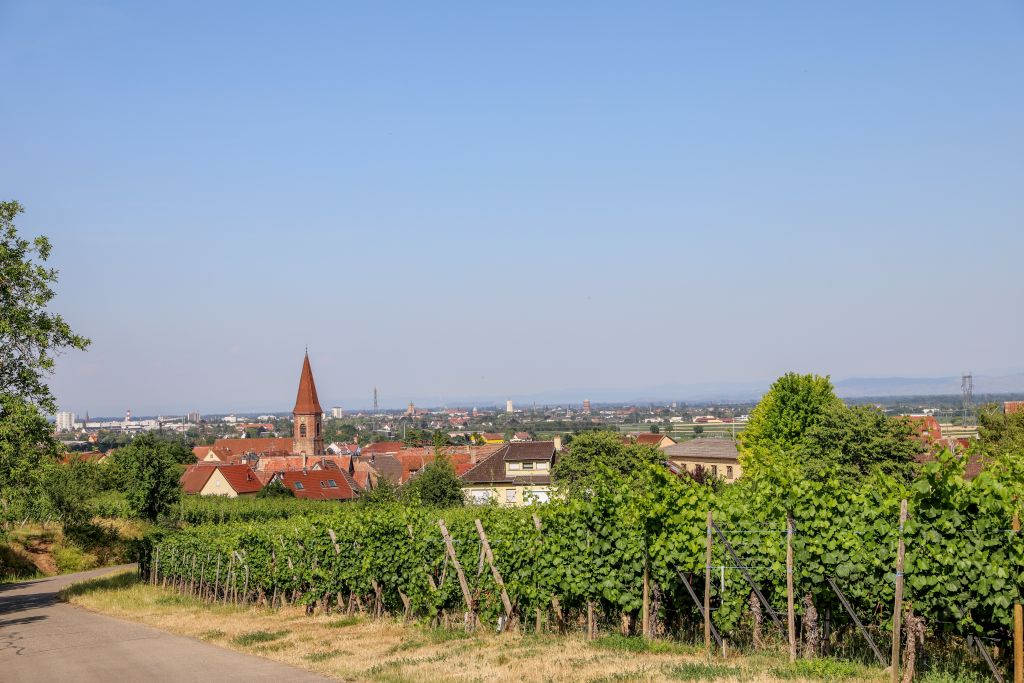 Office de tourisme de Colmar en Alsace - Houssen
