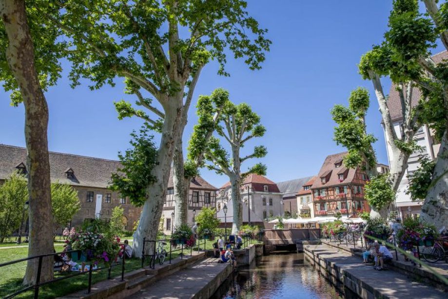 Colmar Alsace France Tourist Office - Discover Colmar Landing