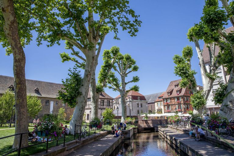 Colmar Alsace France Tourist Office - Visit